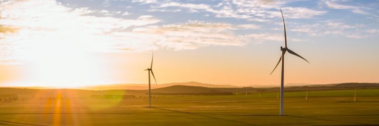 #3 Participations - Impala